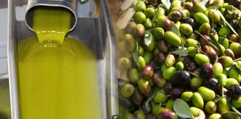 ΠΑΡΑΤΗΡΗΤΗΡΙΟ ΤΙΜΩΝ ΕΛΑΙΟΛΑΔΟΥ – ΤΙΜΕΣ ΕΛΑΙΟΛΑΔΟΥ ΚΡΗΤΗΣ